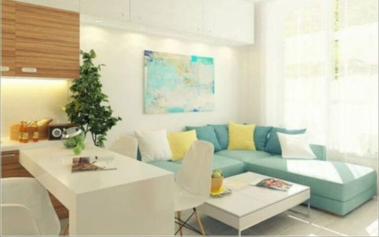 Middle Class Small House Interior Design for Living Room